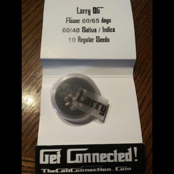 Recent Additions | ChiTown Seeds